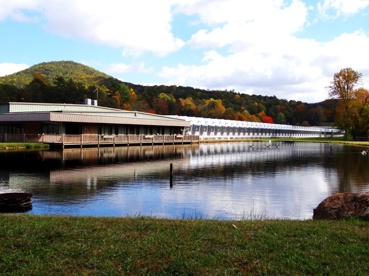 Speedling Incorporated Home - Speedling Incorporated